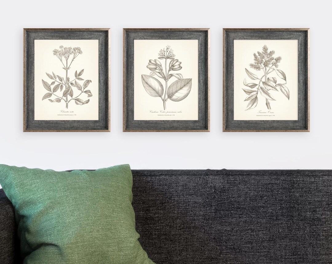 Vintage Style Botanical Prints Set of 3 Botanical Poster Wildflower ...