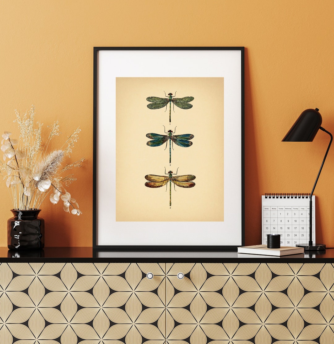 Instant Download Vintage Dragonflies Printable Art Botanical - Etsy