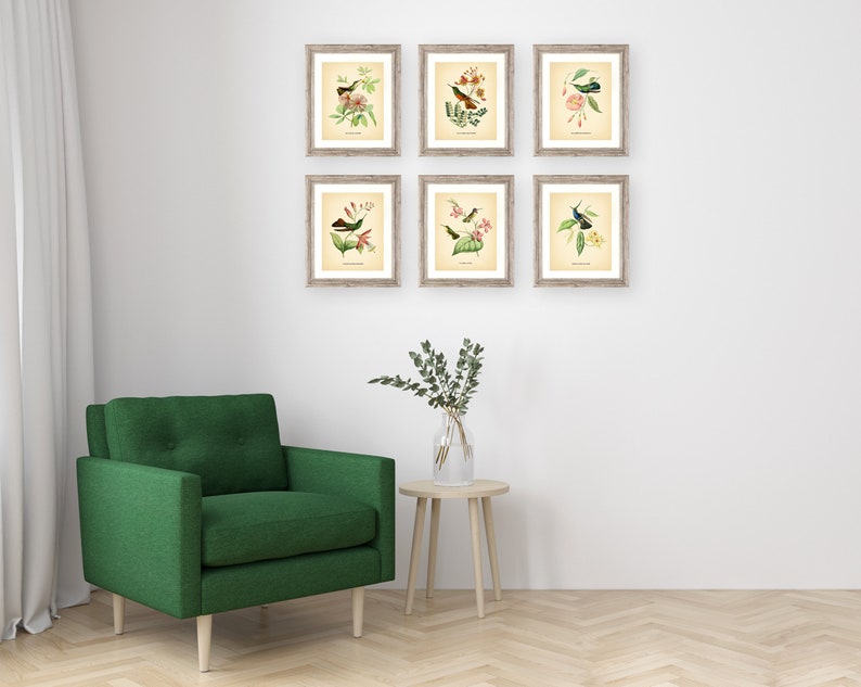 8x10'' HUMMINGBIRD PRINTS SET Set Bird Print Flower | Etsy UK