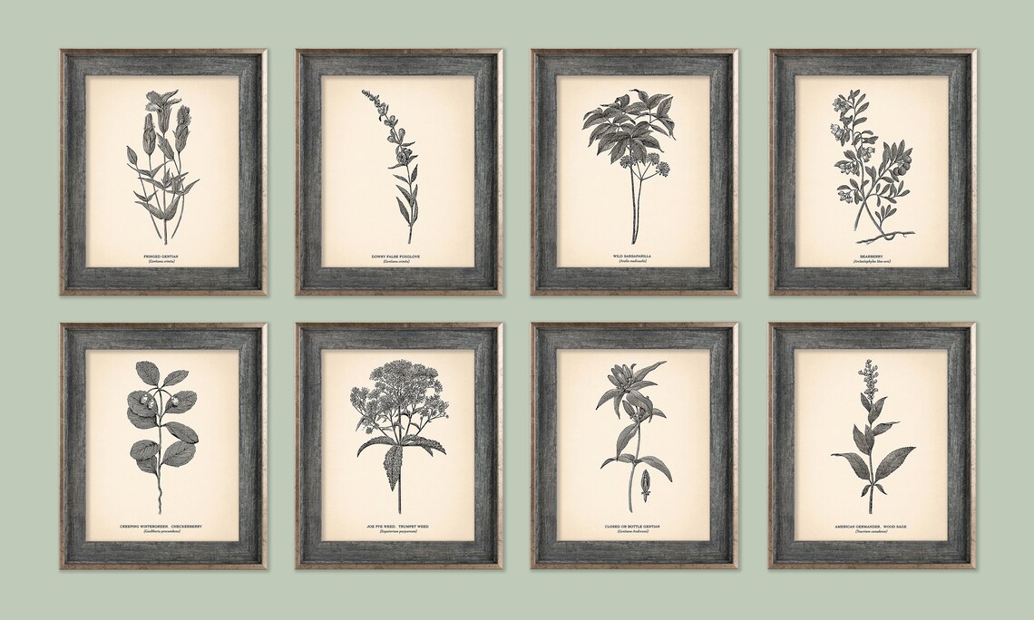 8x10'' Vintage Botanical Prints Set of 8 Botanical Poster Wildflower ...
