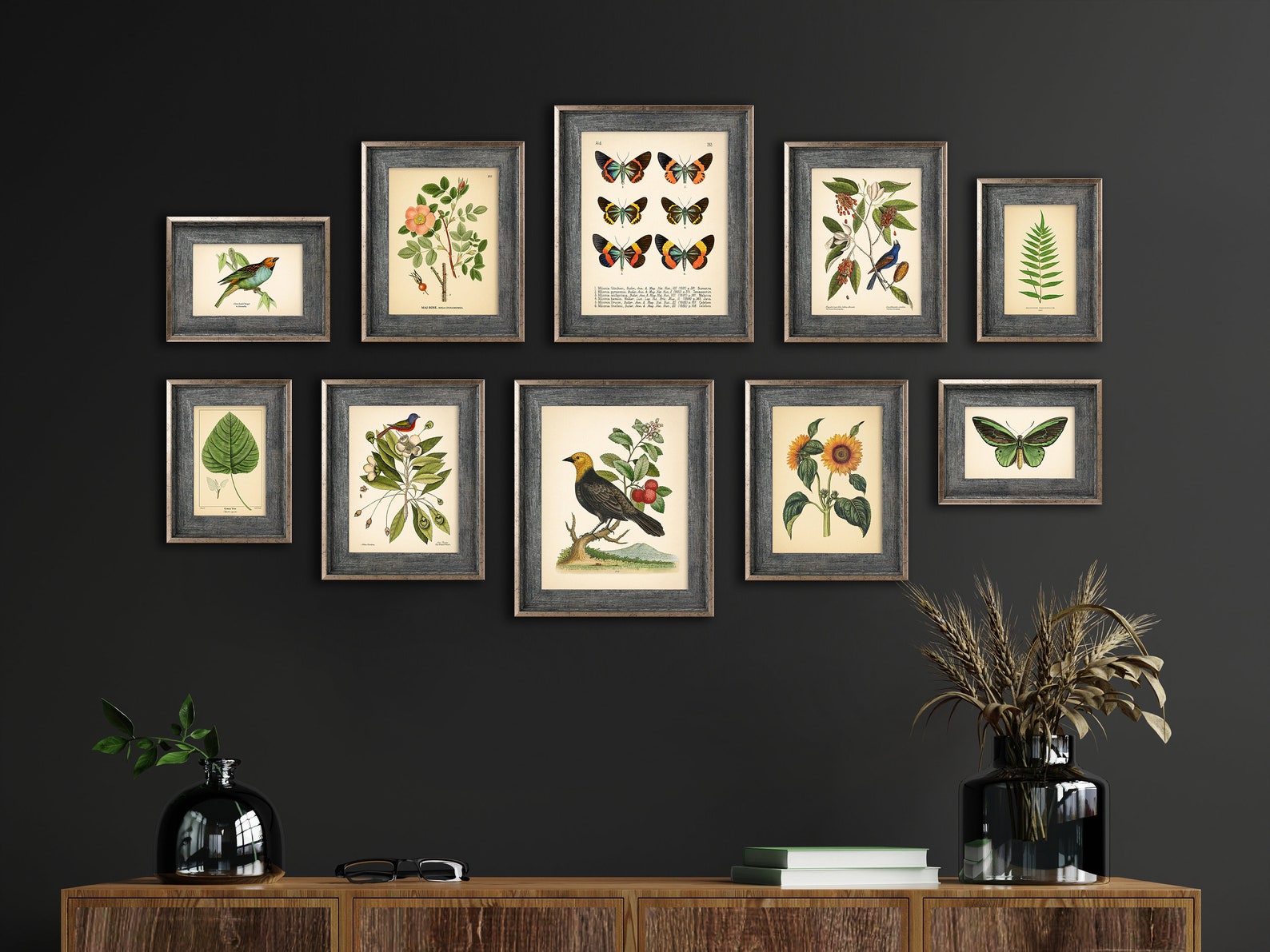 Set of 10 Vintage Botanical Prints Botanical Poster Flower - Etsy