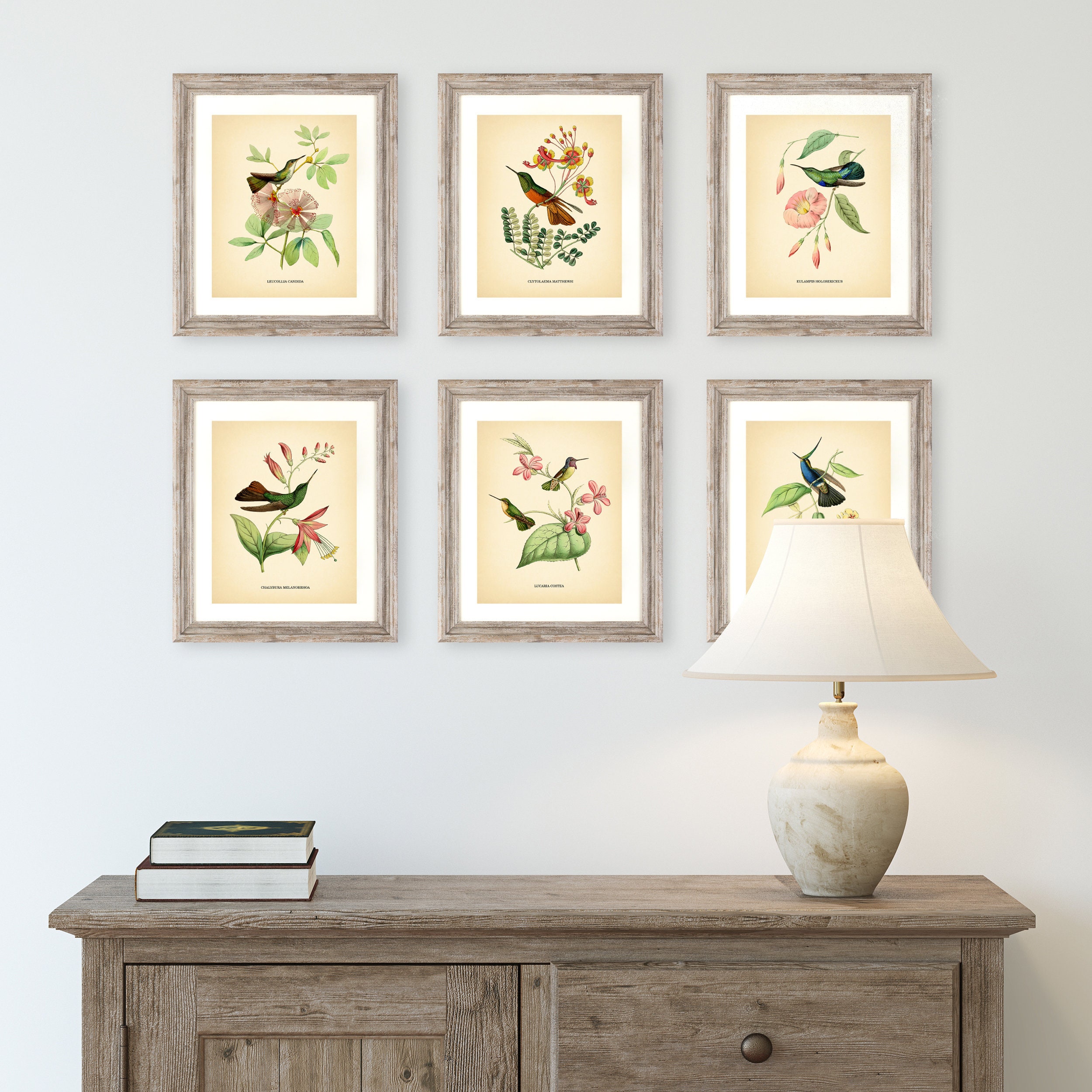 8x10'' HUMMINGBIRD PRINTS SET Set Bird Print Flower Nature Wall Art ...