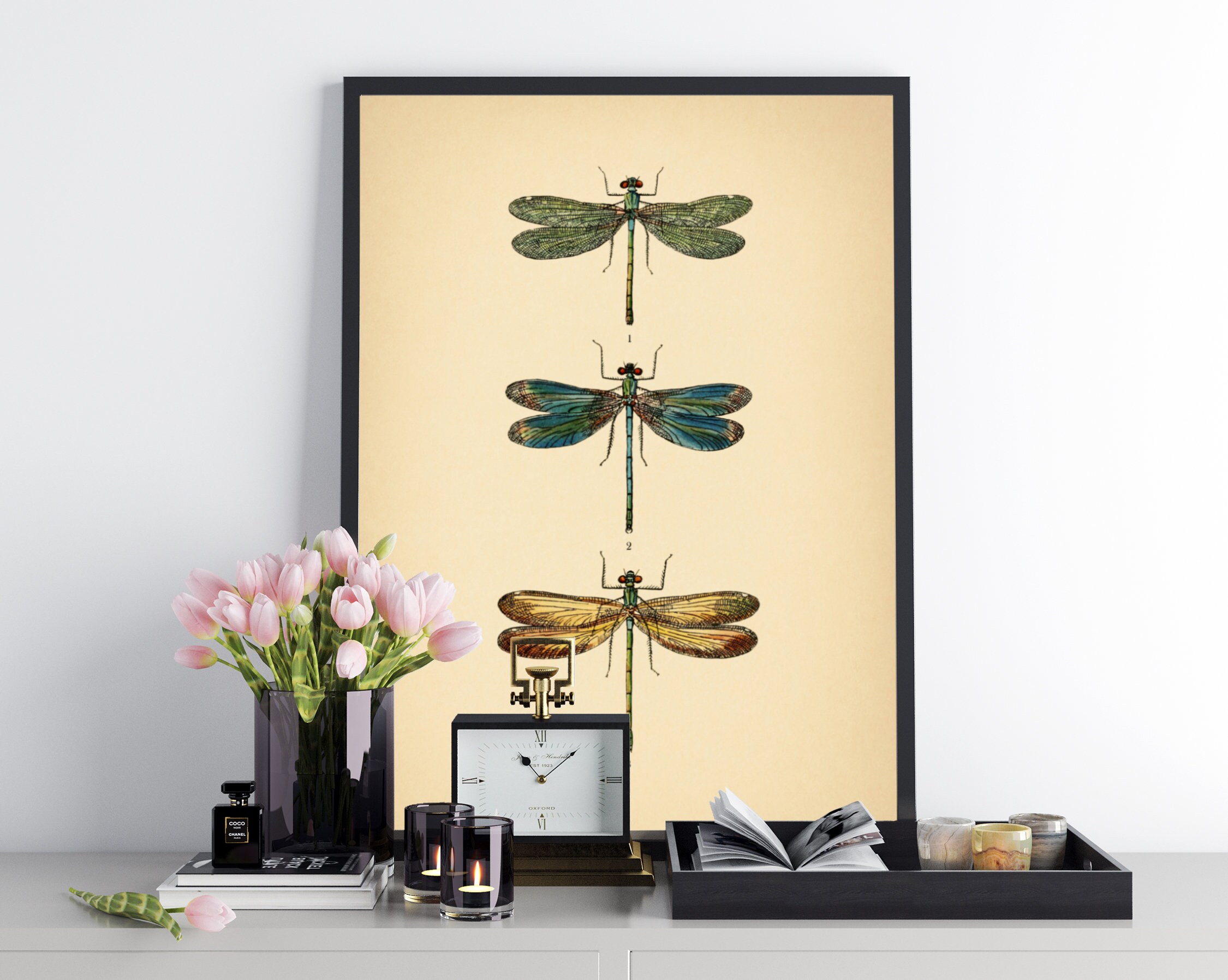 Instant Download Vintage Dragonflies Printable Art Botanical - Etsy