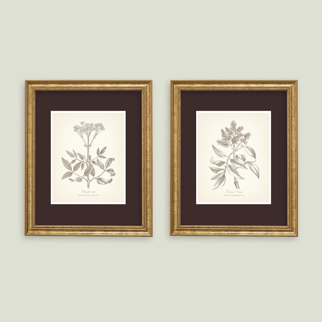 Vintage Style Botanical Prints Set of 2 Botanical Posters Wildflower ...