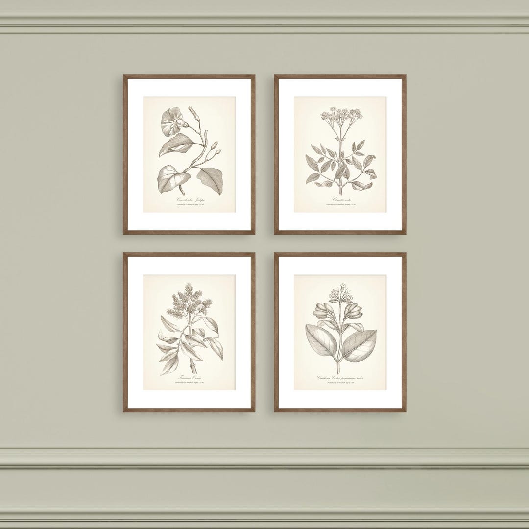 Neutral Botanical Prints Set of 4 Botanical Poster Wildflower Print ...