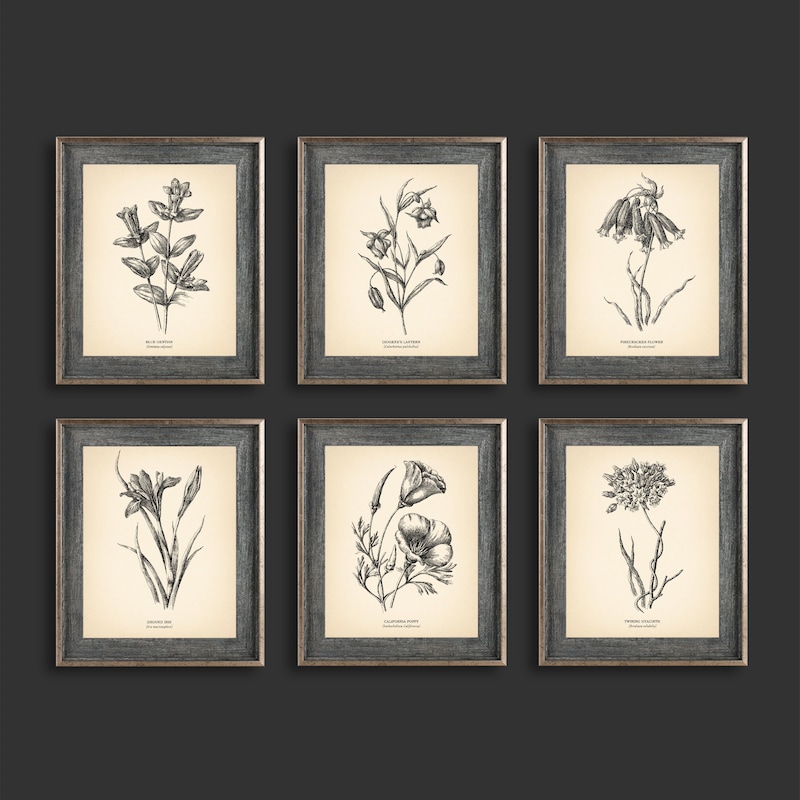Botanical Print Set - Etsy