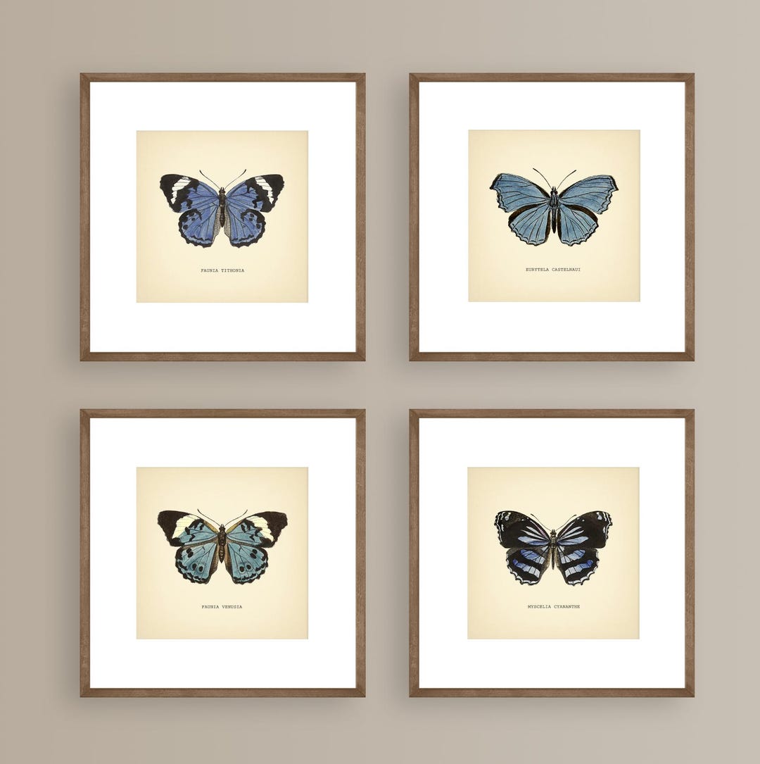 Blue Vintage Butterflies Prints Botanical Print Square Print Set of ...
