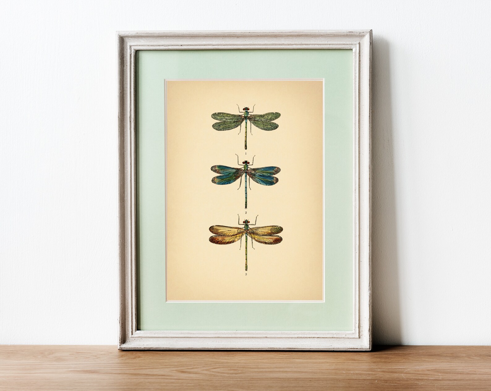 Instant Download Vintage Dragonflies Printable Art Botanical - Etsy