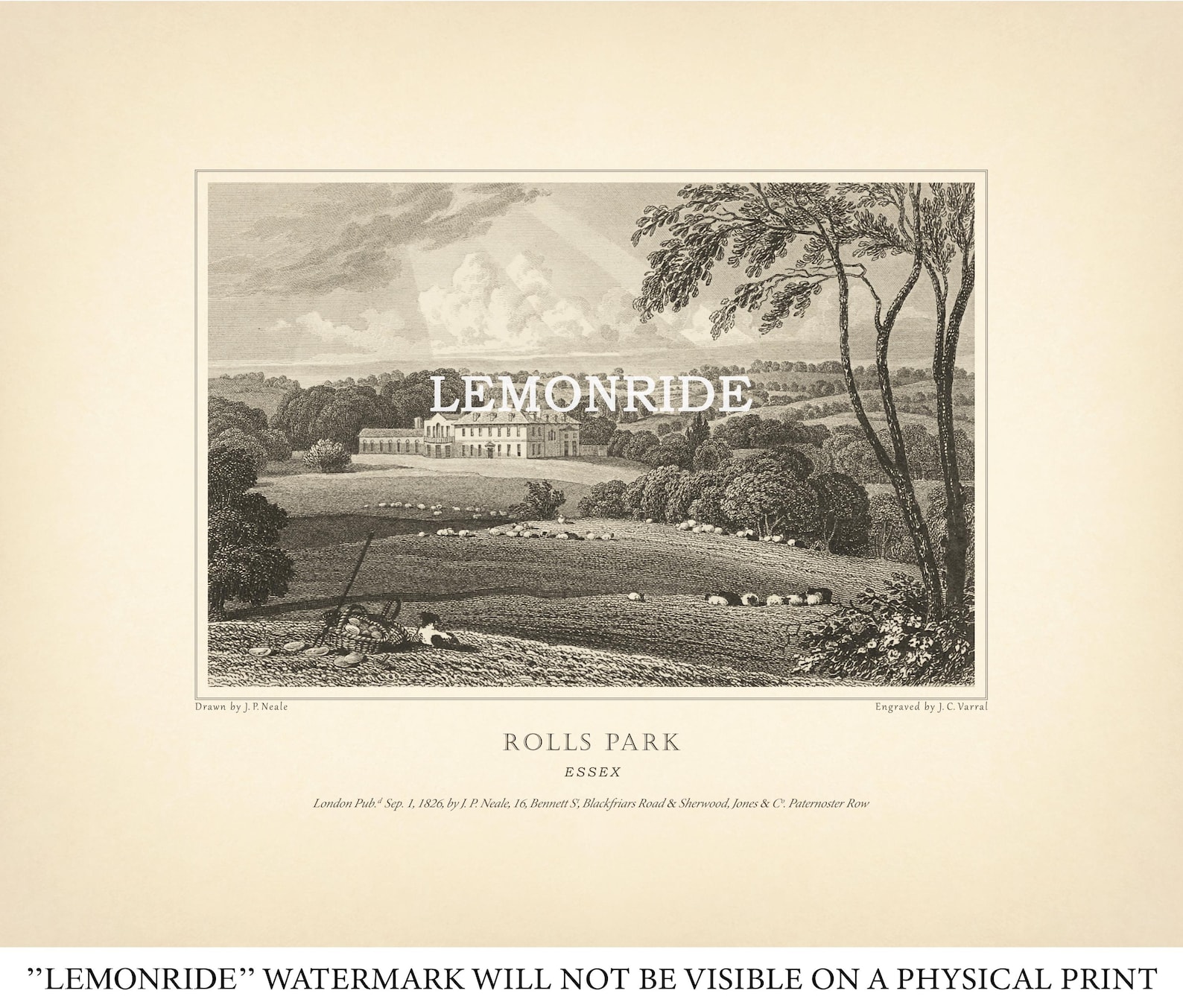 ESSEX - A Set of 4 Antique Engravings Etchings Reproductions Neutral ...