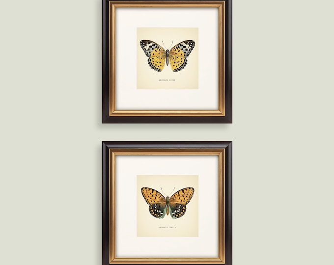 Mini Abstract Butterfly Paintings - Etsy