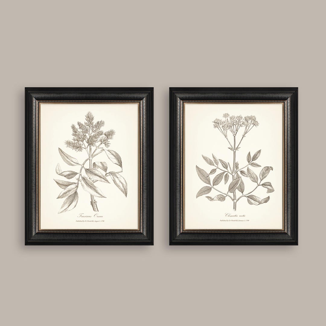 Vintage Style Botanical Prints Set of 2 Botanical Posters Wildflower ...