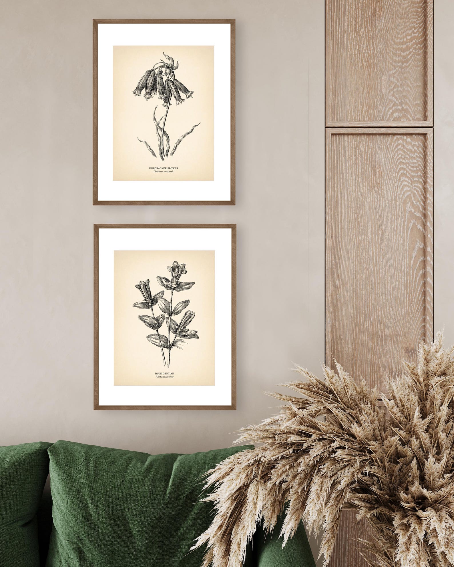 Vintage Botanical Prints Set of 2 Botanical Poster Wildflower Botanical ...