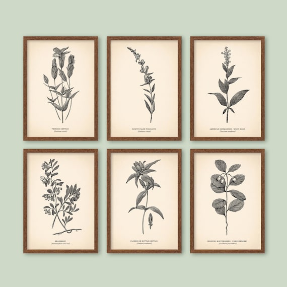 VINTAGE BOTANICAL PRINTS Set of 6 Wall Art Rustic Decor Neutral Decor Neutral Wall Art Antique Book Pages Botanical Art Vintage Prints Etsy