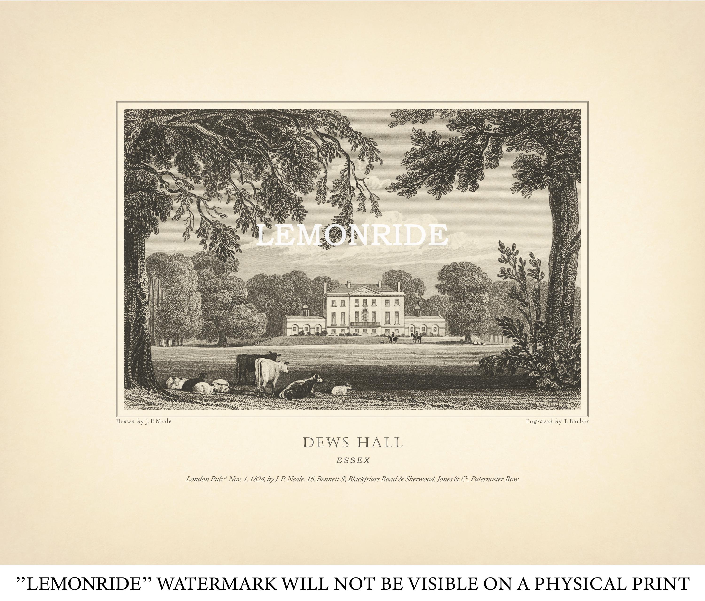 ESSEX - A Set of 4 Antique Engravings Etchings Reproductions Neutral ...