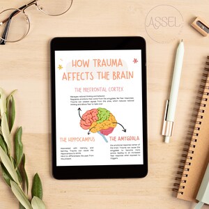 Set of 6 Trauma Posters Bundle, Trauma Responses, PTSD Posters, Trauma ...