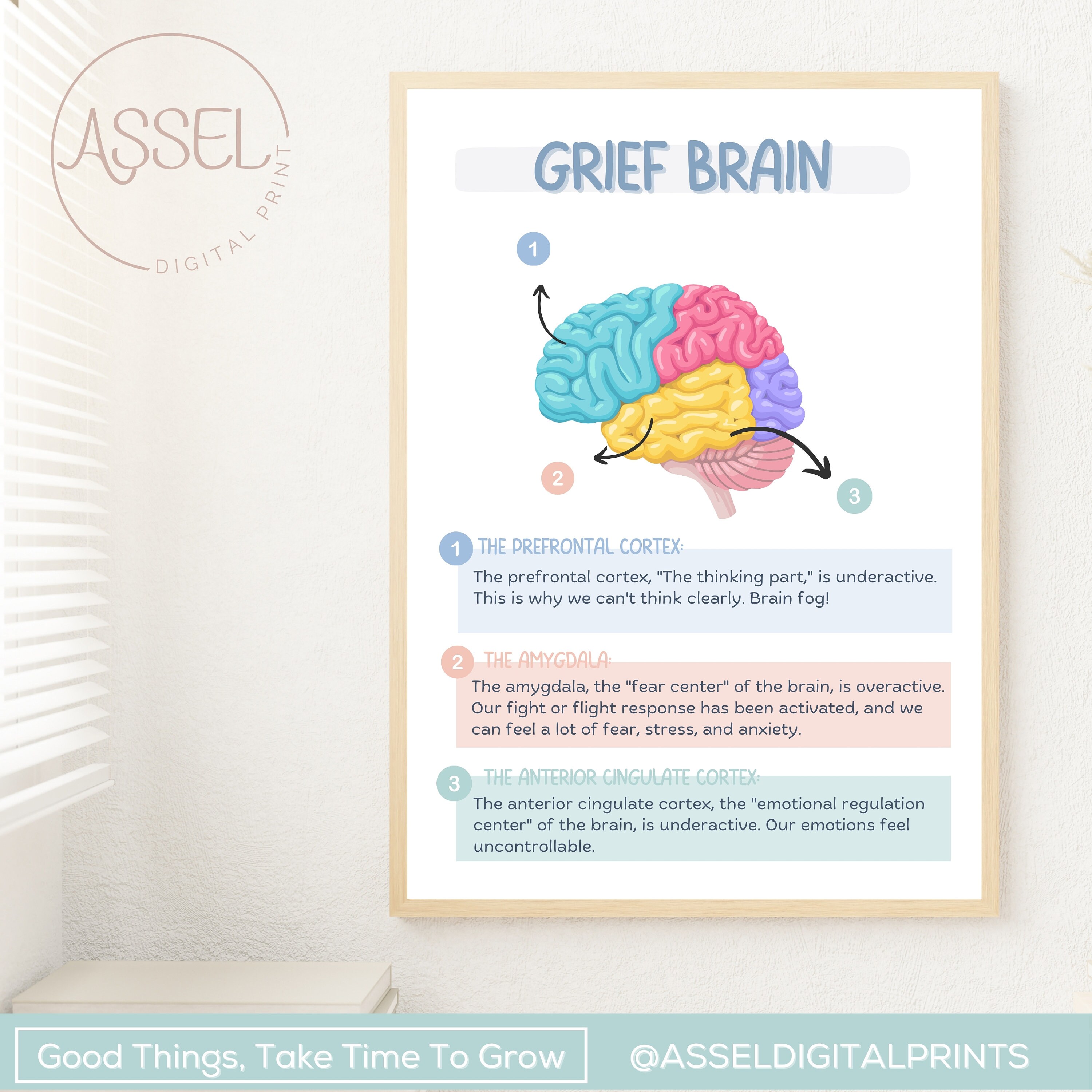 Grief and Loss Poster Bundle, Growing Around Grief, Stages of Grief ...