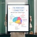 Mind Body Connection Poster, Therapy Office Decor, Brain Parts, Human ...