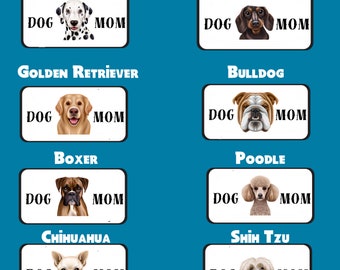 Arizona Vanity Plate License Plate Vanity Plate. Car License - Etsy