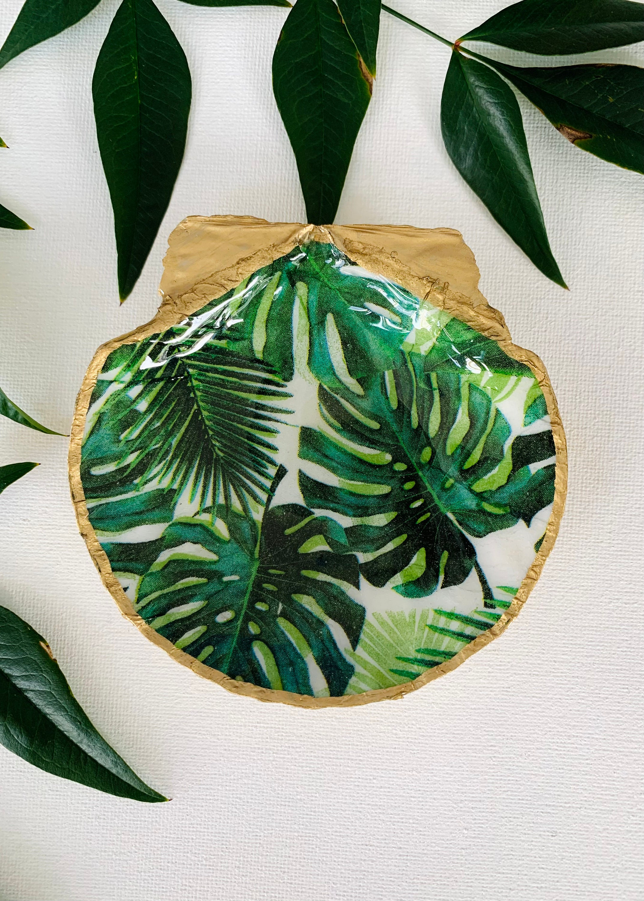 Monstera Leaf Scallop Shell Trinket Dish Ring Dish Gifts for Her ...