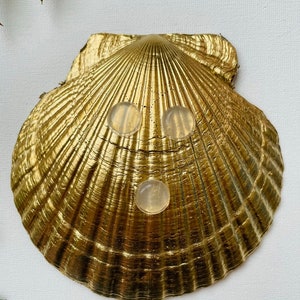Monstera Leaf Scallop Shell Trinket Dish Ring Dish Gifts for Her ...