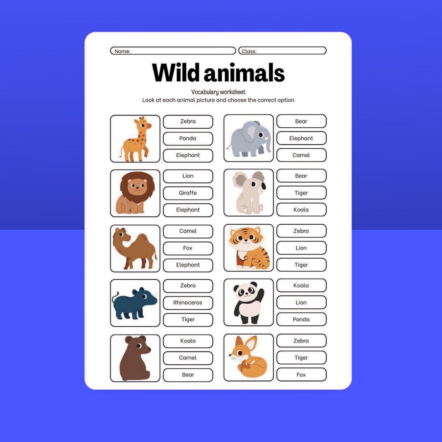 Animal Activities for Preschoolers, Early Childhood Learning, Child ...