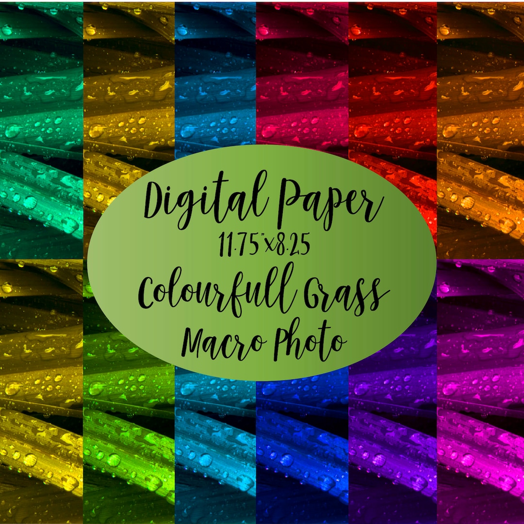 Digital Paper, Digital Grass Paper, Photo Digital Paper, Colourful ...