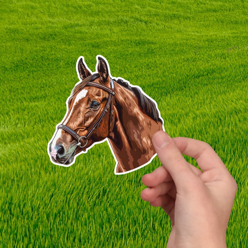 Horse Sticker Sheet Horse Stickers Horse Decor - Etsy