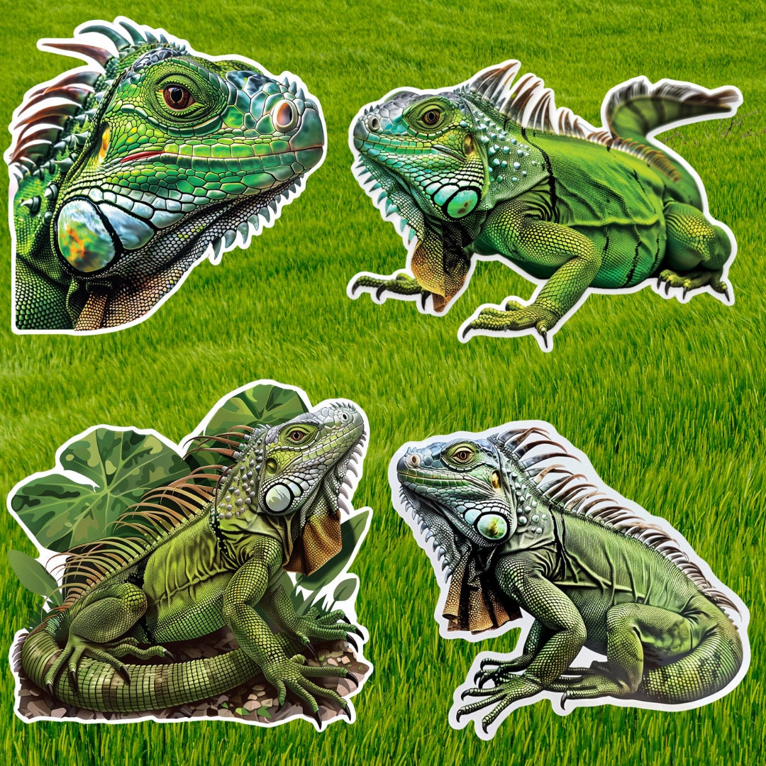 Green Iguana Vinyl Sticker Set | Iguana Lizard Stickers | Reptile ...