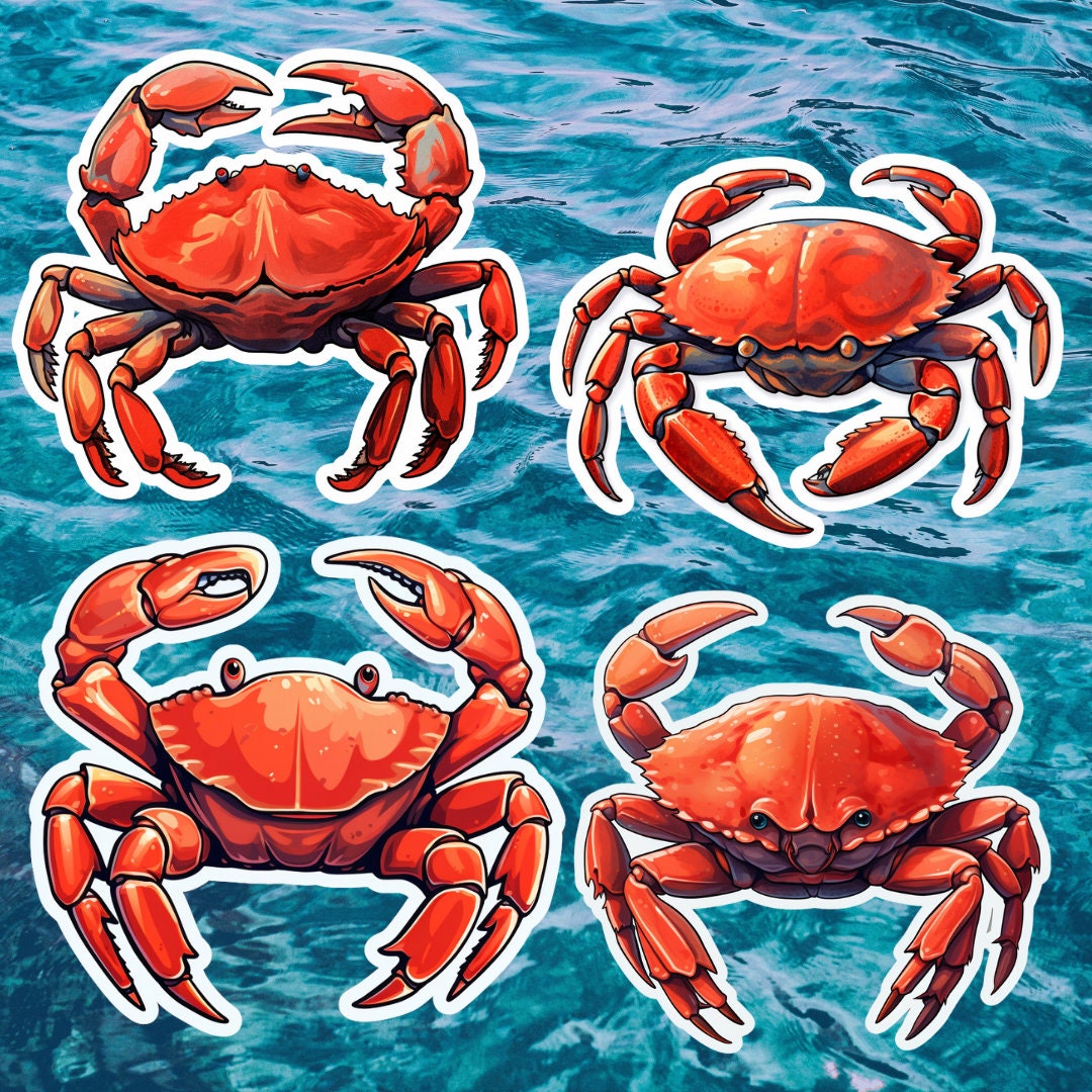 Crab Vinyl Sticker Set | Crab Fish Sticker Set | Ocean Stickers - Etsy