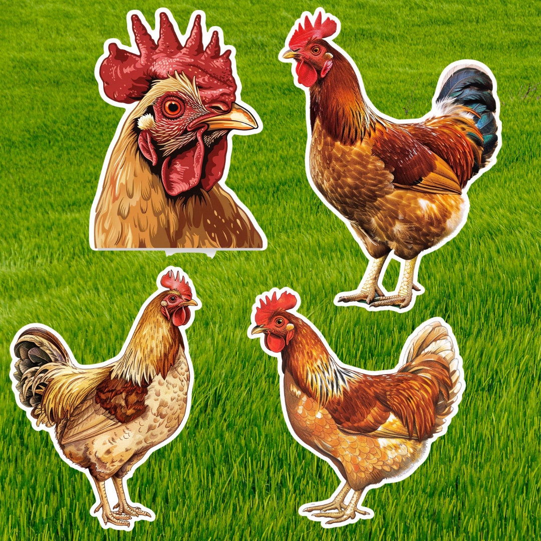 Hen Sticker Sheet | Hen Stickers |hen Decor - Etsy