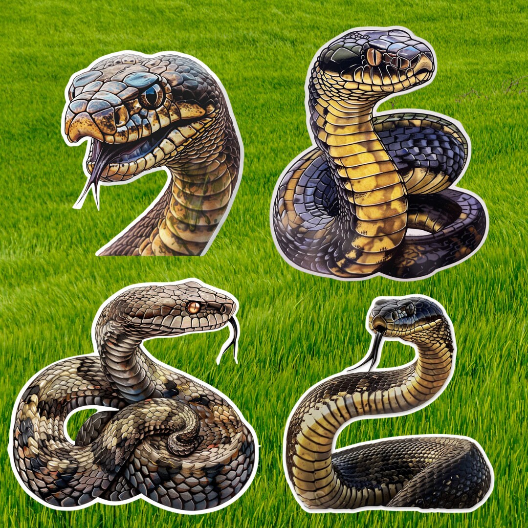 King Cobra Vinyl Stickers | King Cobrastickers | Reptile Stickers - Etsy