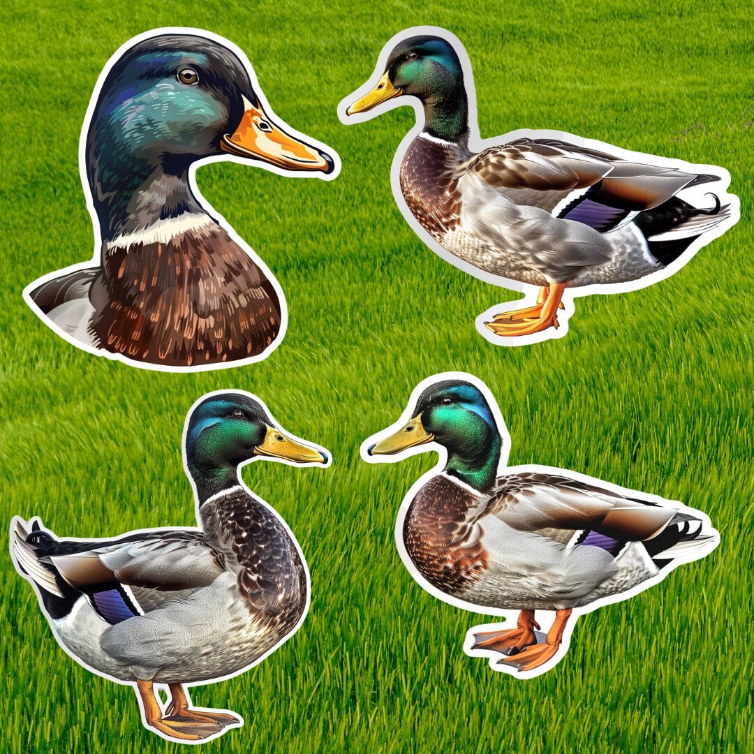 Duck Sticker Sheet | Duck Stickers |duck Decor - Etsy