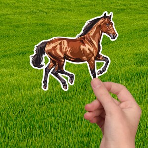 Horse Sticker Sheet Horse Stickers Horse Decor - Etsy