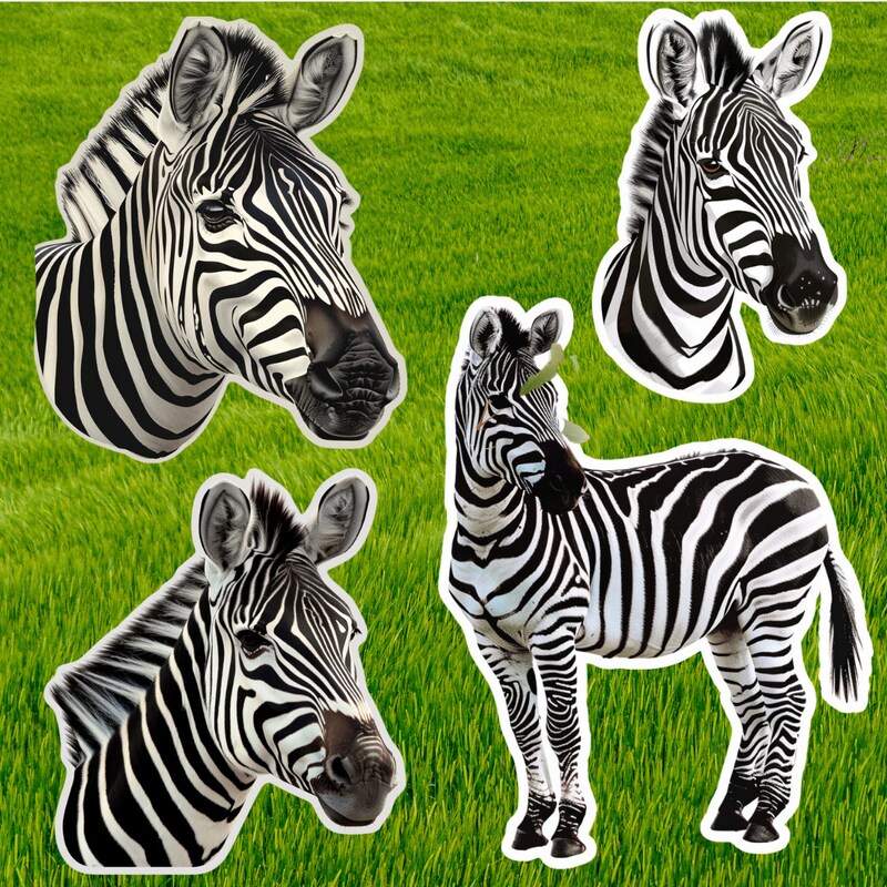 Zebra Decor - Etsy
