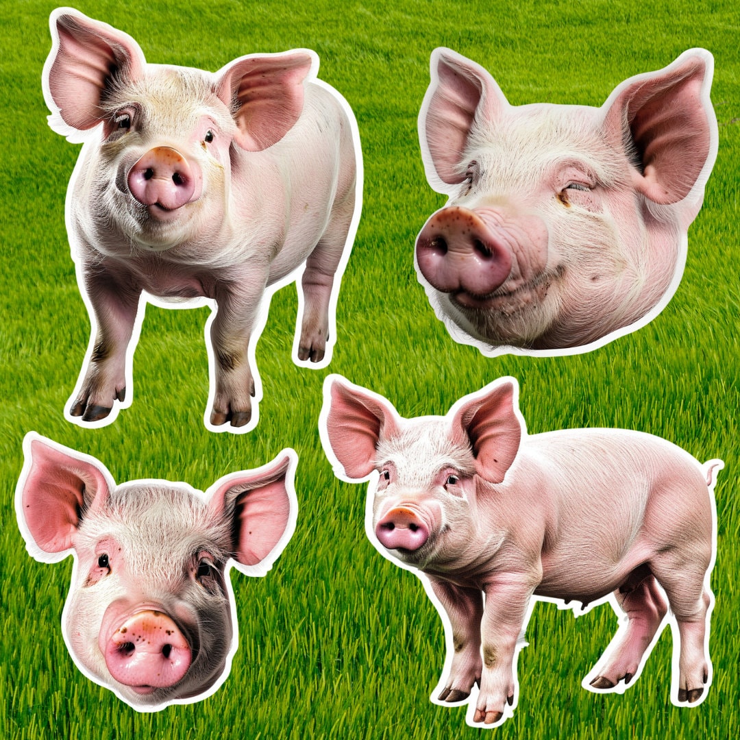 Pig Sticker Sheet | Pig Stickers |pig Decor - Etsy