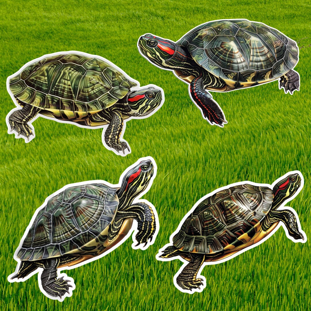 Red-eared Slider Turtle Vinyl Stickers |red-eared Slider Turtle ...