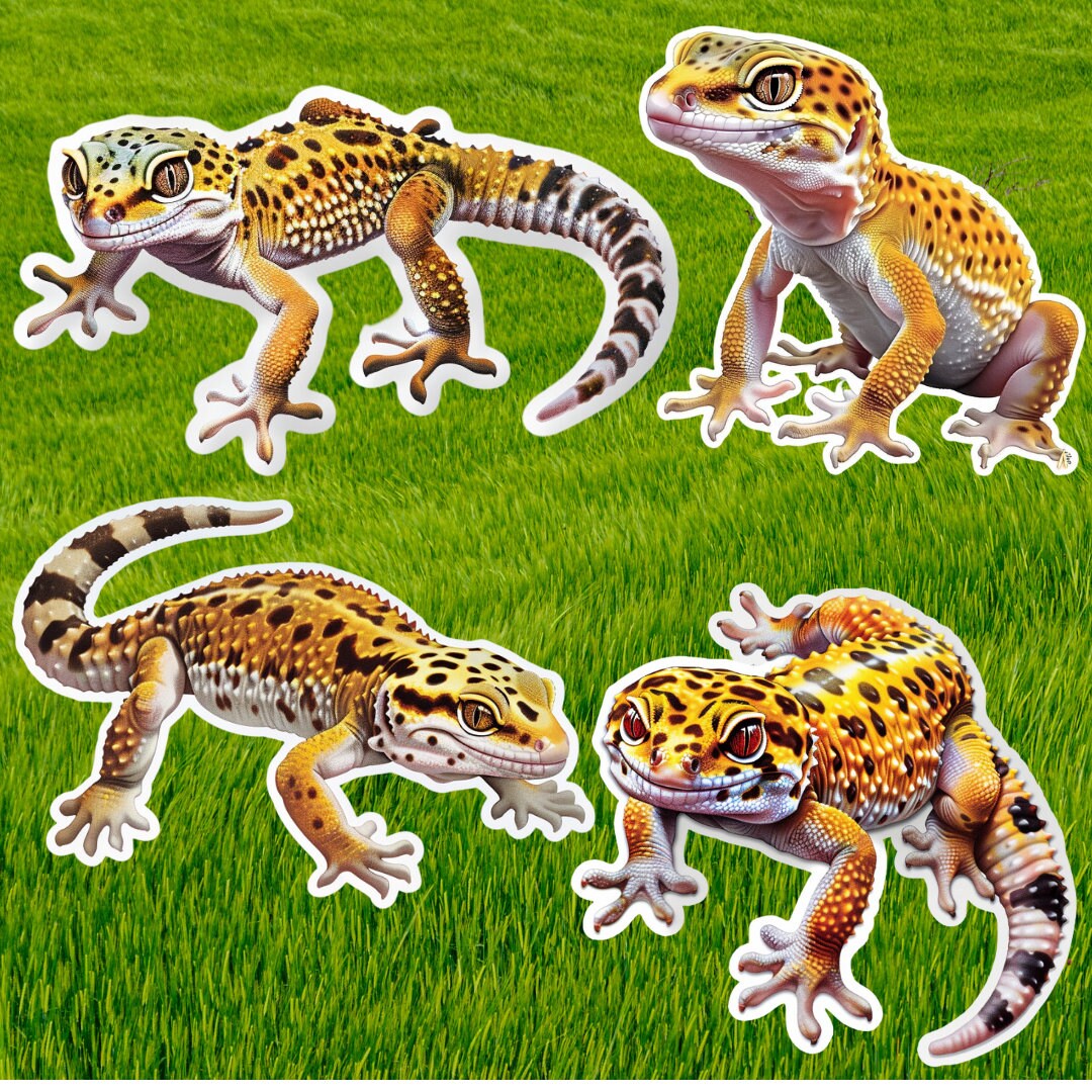 Leopard Gecko Vinyl Stickers | Leopard Gecko Lizard Stickers | Reptile ...