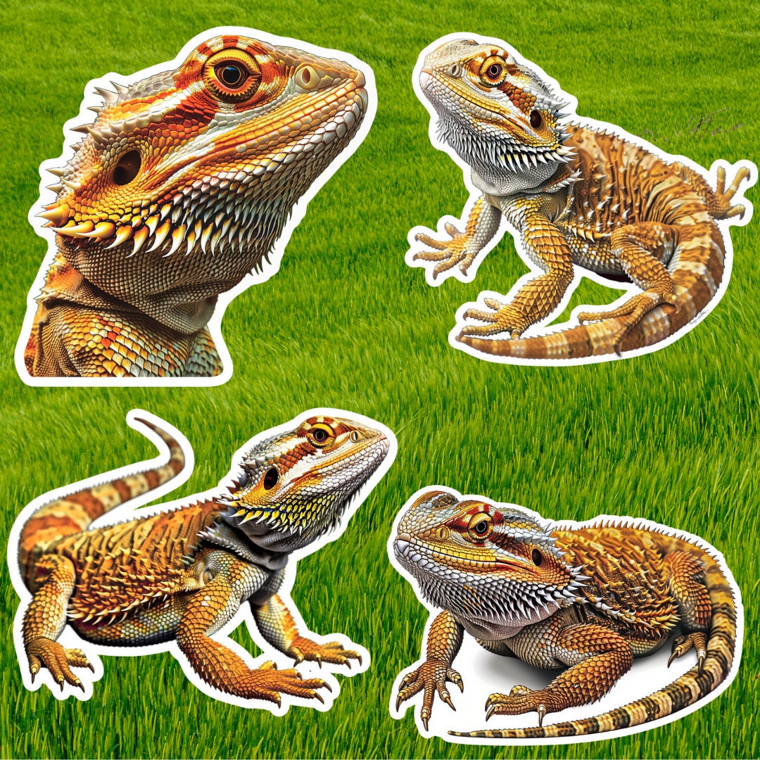 Bearded Dragon Vinyl Stickers | Bearded Dragon Lizard Stickers ...