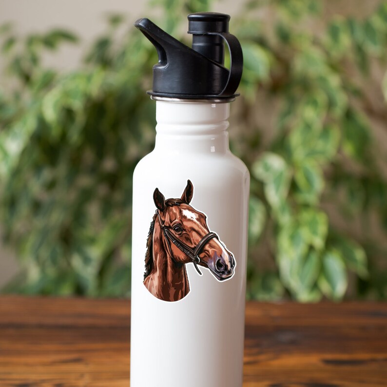 Horse Sticker Sheet Horse Stickers Horse Decor - Etsy