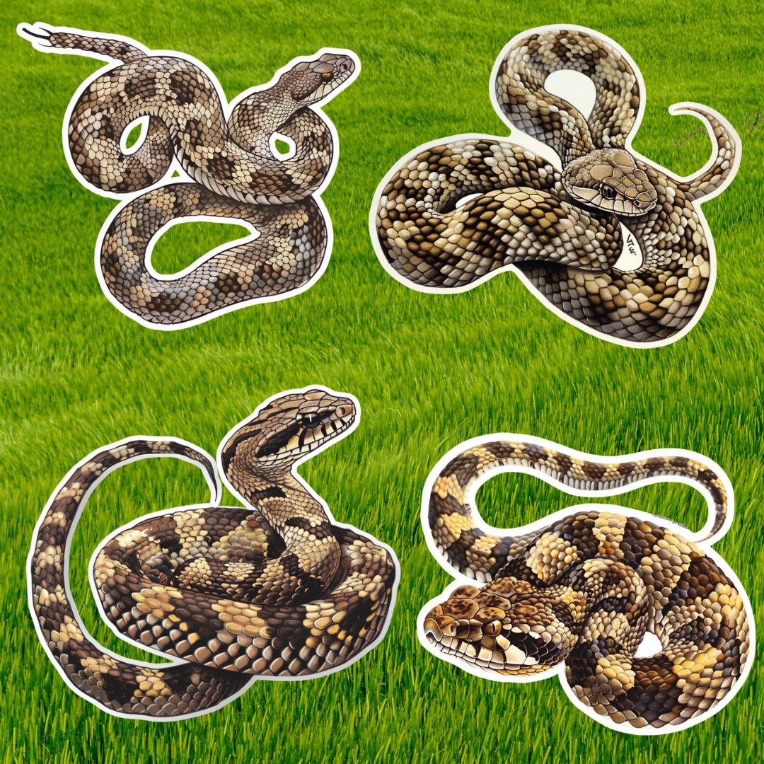 Western Hognose Snake Vinyl Stickers |western Hognose Snake Stickers ...