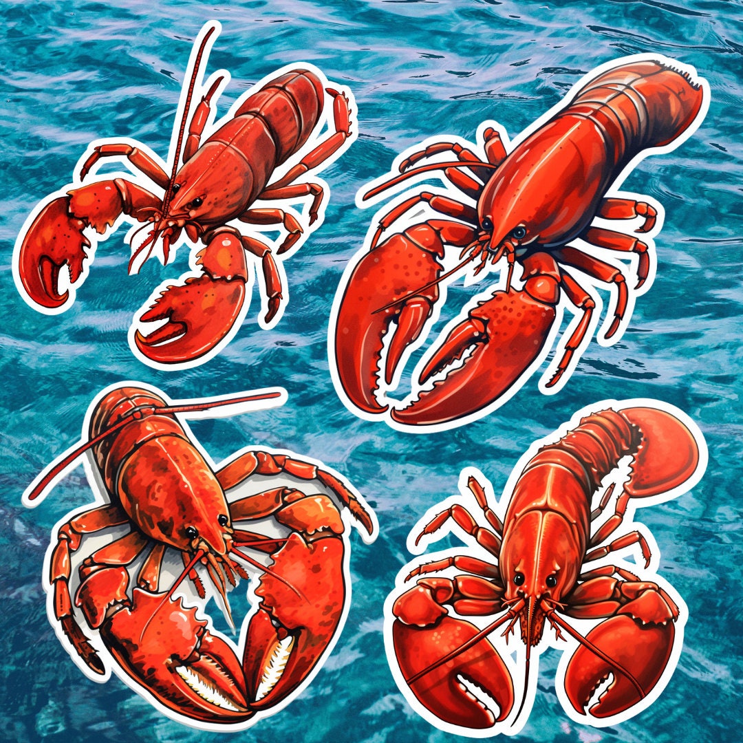 Lobster Vinyl Sticker | - Etsy