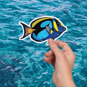Blue Hippo Tang Sticker Set Vinyl Sticker Set Hippo Tang Sticker Set ...