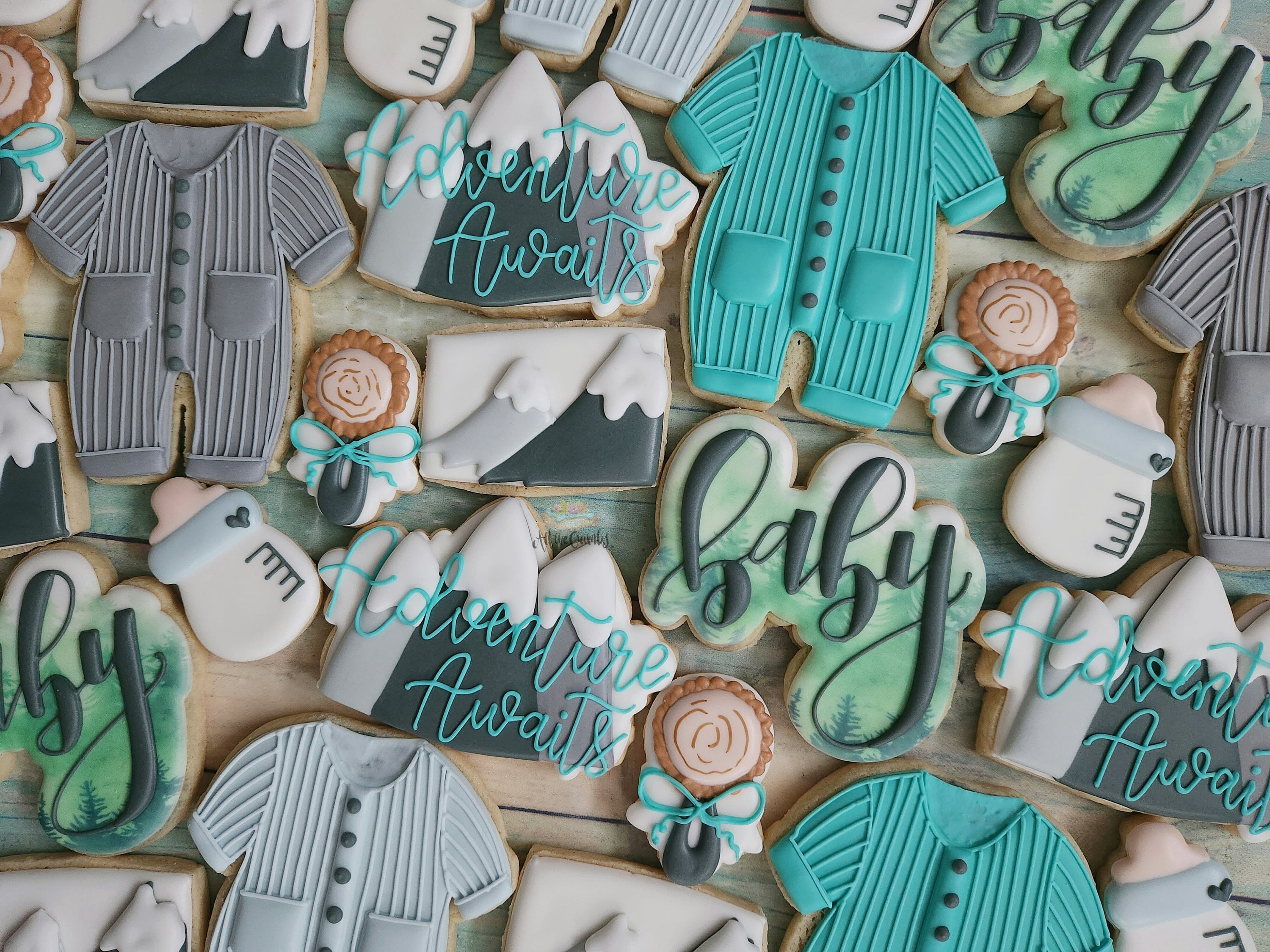 Adventure Awaits Cookies - Etsy
