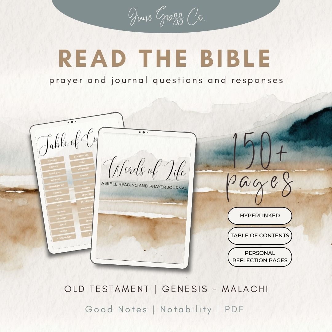 Old Testament Bible Study Journal: Prayer & Reflection (goodnotes ...