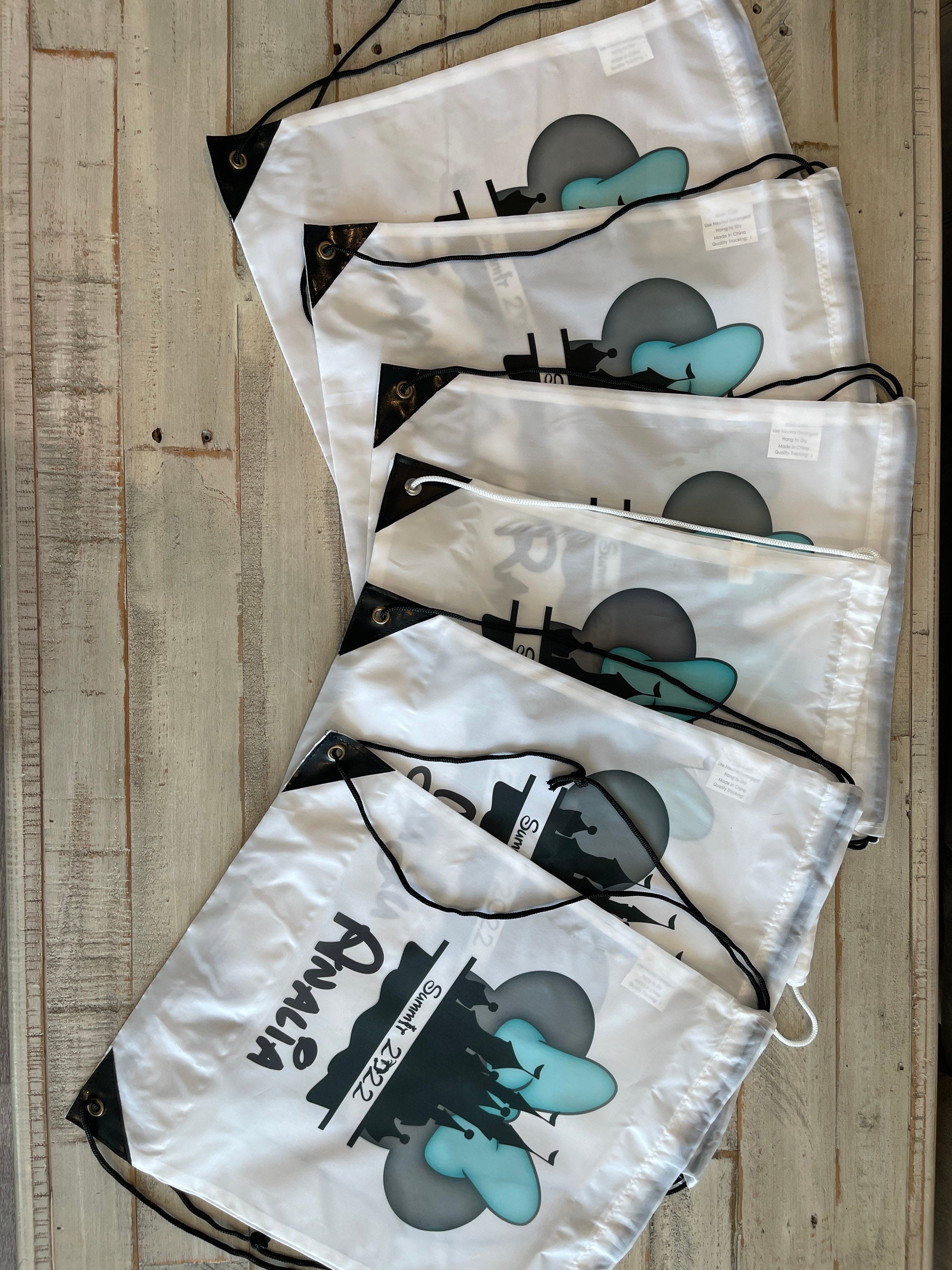 Summit 2023 Cinch Sak Cheer Dance Custom Cinch Sack - Etsy