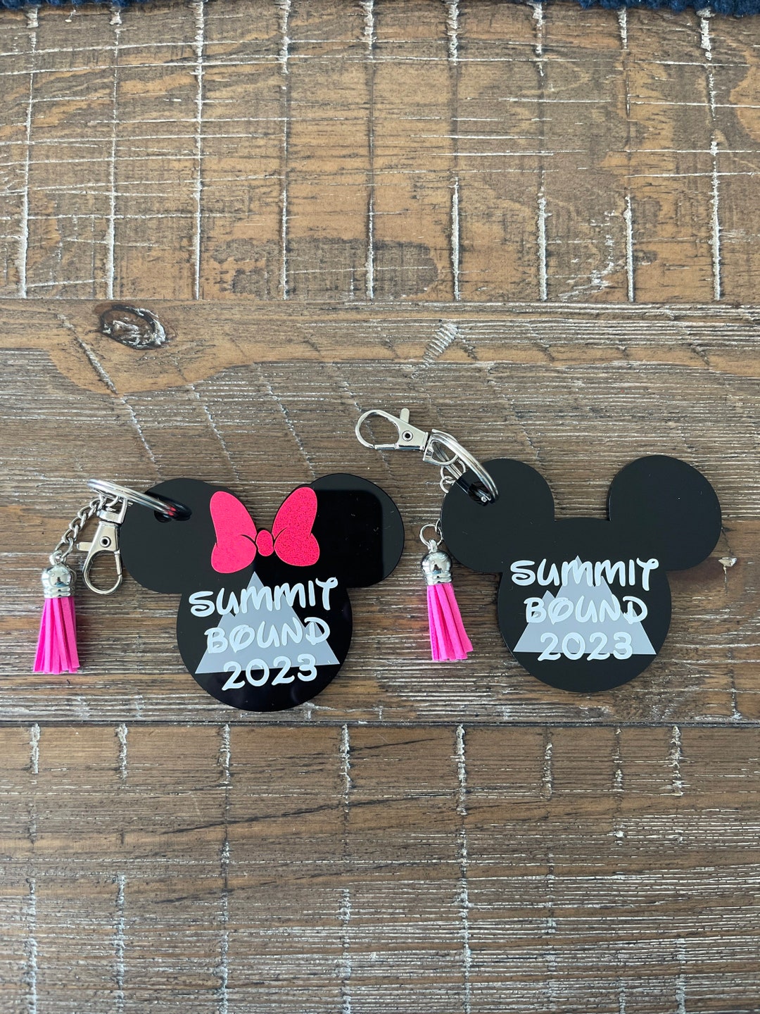 Summit Bound 2023 Custom Bag Tags Summit Bound Disney D2 - Etsy
