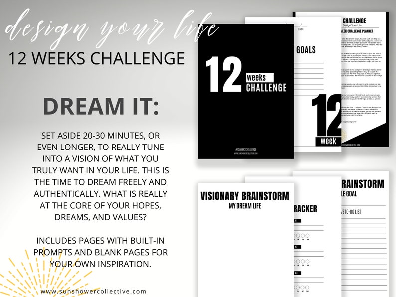 12 Week Life, 12 Week Life Planner, 12 Week Planner, 12 Week Goal, 12 ...