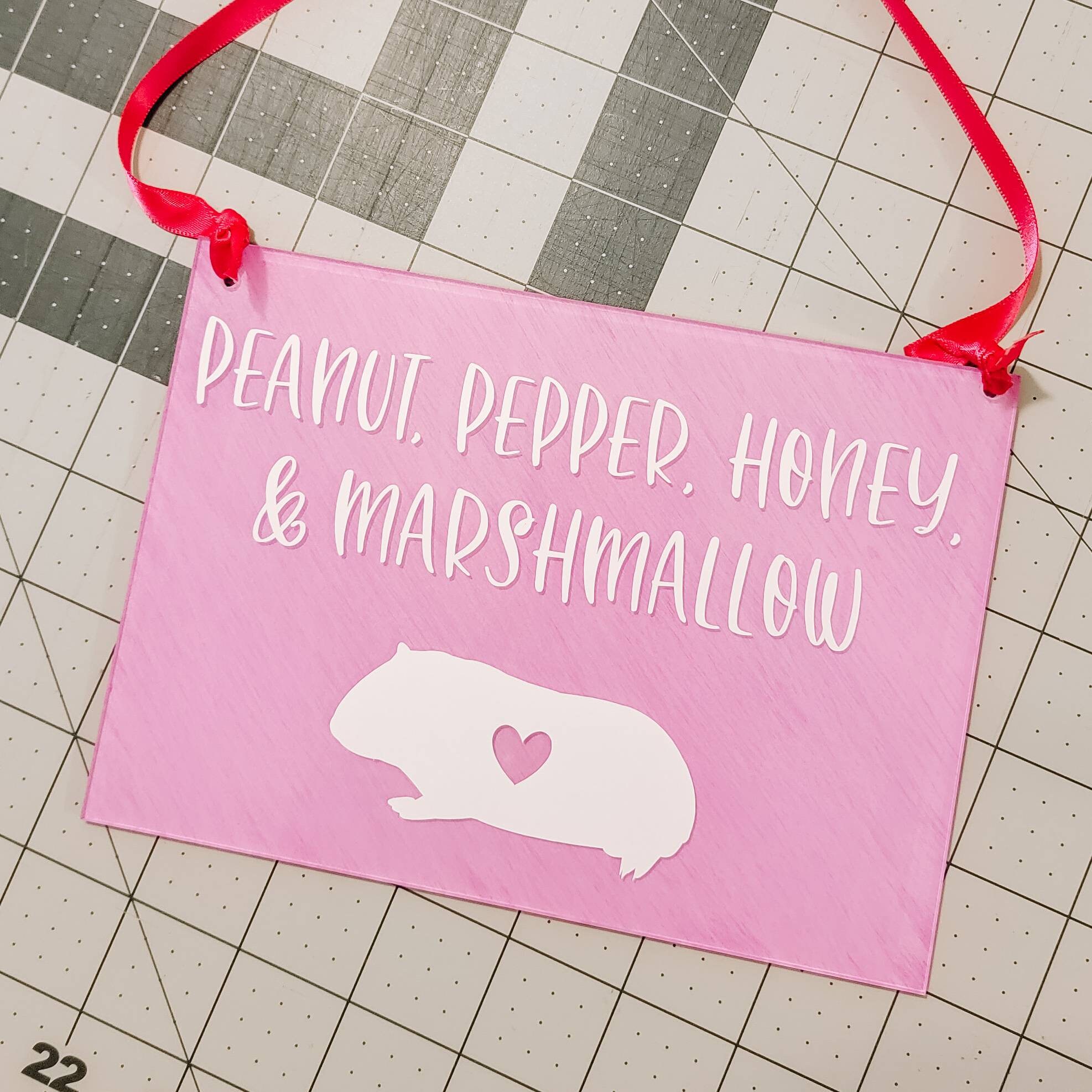 Personalized Guinea Pig Name Sign Guinea Pig Sign Guinea Pig | Etsy