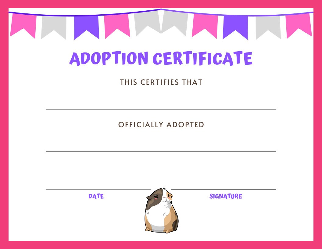 Pig Adoption for sale | Only 4 left at -75%