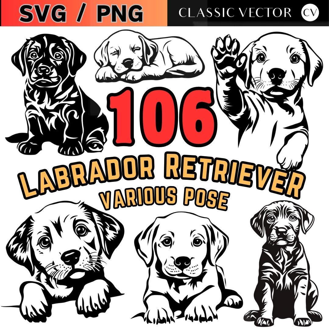 Labrador Retriever Puppy SVG Bundle - Various Poses - Etsy